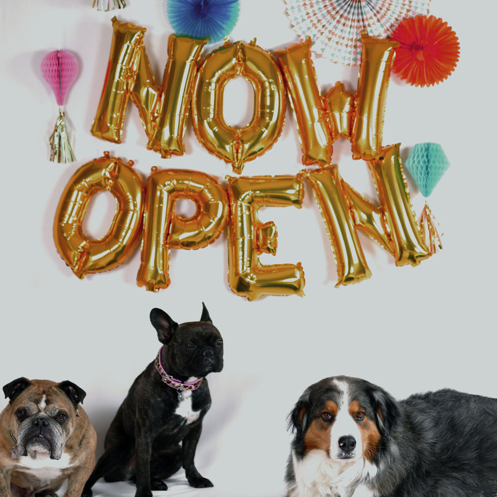 Now Open - Lucky Bubs Pets